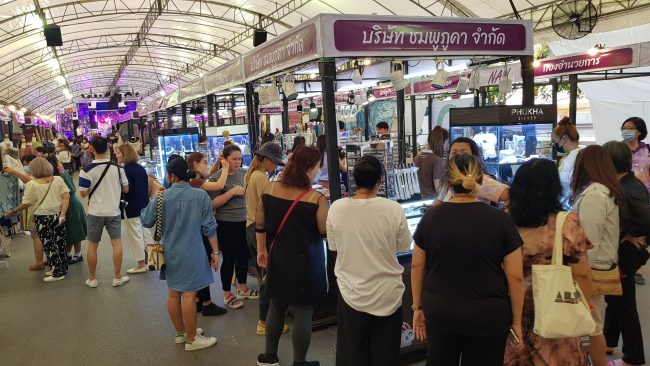 น่านจัดงาน“Inno - Creative Design Showcase”หนุนผู้ประกอบการเชื่อมโยงกลุ่มลูกค้าตลาดไฮเอนด์ ...